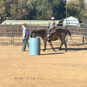 THE DINGLE FAMILY FARM AND STABLES - Updated November 2025 - 555 Photos ...