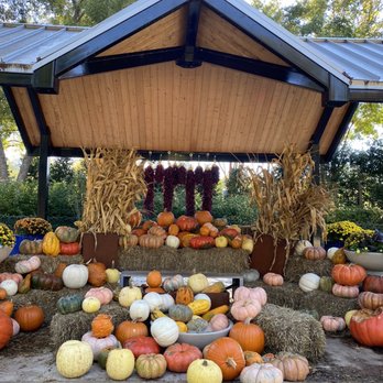 GRAPEVINE BOTANICAL GARDENS - Updated June 2024 - 272 Photos & 62 ...