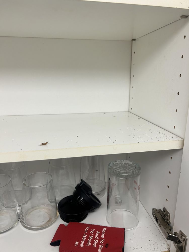 COLTER PARK - Updated January 2026 - 56 Photos - 909 West Colter St ...