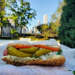 DEVIL DAWGS - SOUTH STATE - Updated July 2024 - 1085 Photos & 946 ...