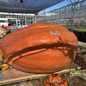 SECOR FARMS - Updated October 2025 - 256 Photos & 83 Reviews - 168 ...