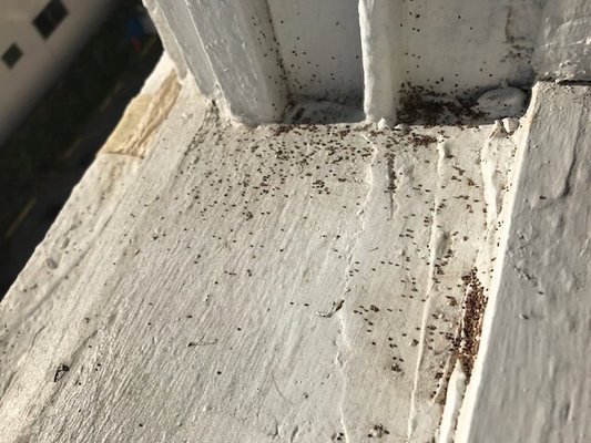 THE LARAMAR GROUP - Updated June 2024 - 38 Photos - 2737 Francis Ave ...