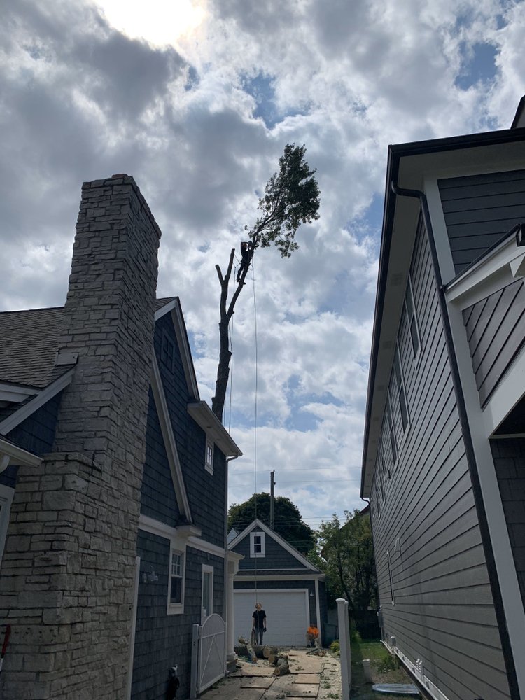 ADDISON TREE & OUTDOOR SERVICES - Updated June 2025 - 27 Photos & 27 ...