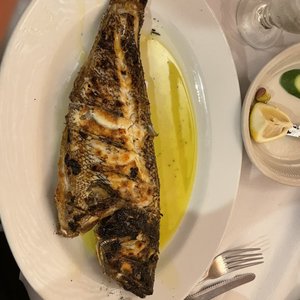BAHARI ESTIATORIO - 672 Photos & 592 Reviews - Greek - 3114 Broadway ...
