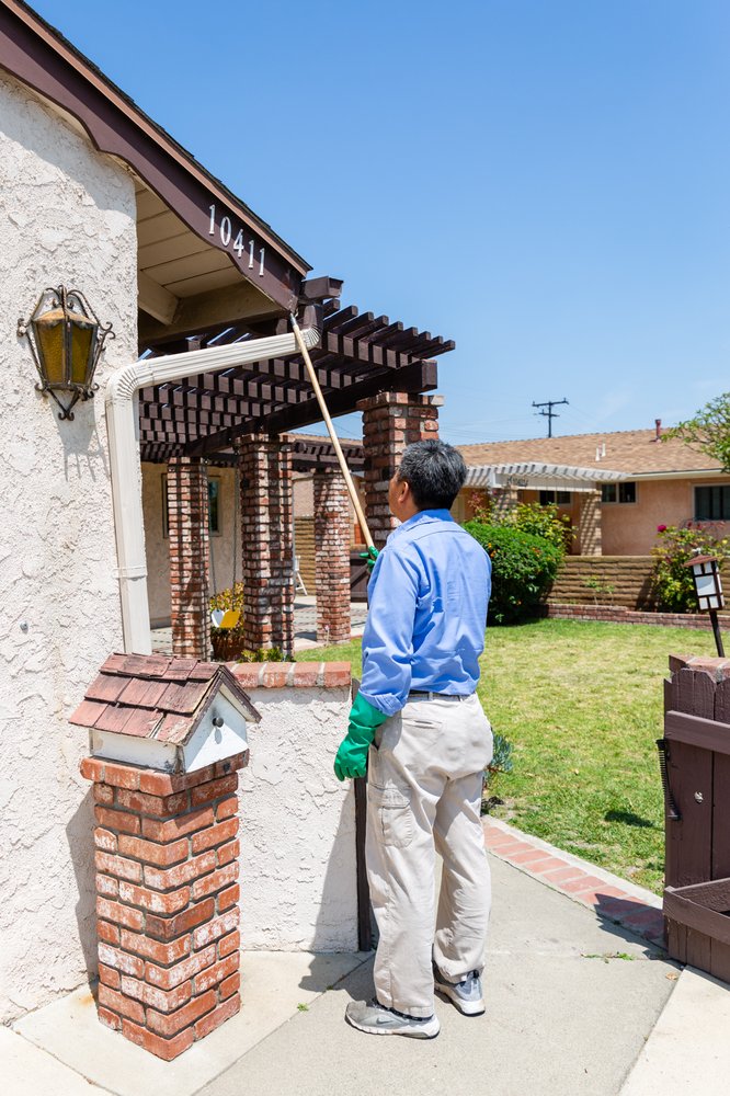 GREEN TERMITE & PEST CONTROL - Updated January 2026 - 18 Photos & 39 ...