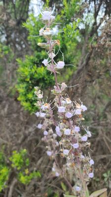 UCI RESEARCH PARK - Updated December 2025 - 20 Photos - 5301 California ...