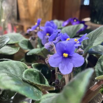 ATKINS FARMS - Updated January 2026 - 188 Photos & 234 Reviews - 1150 ...