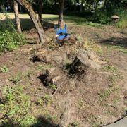 RAINBOW RUN PUTTING COURSE - 45 Photos & 64 Reviews - Mini Golf - 10402 ...