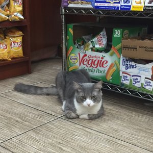 GOTHAM BUDS - Updated March 2025 - 16 Photos & 15 Reviews - 248 W 125th ...