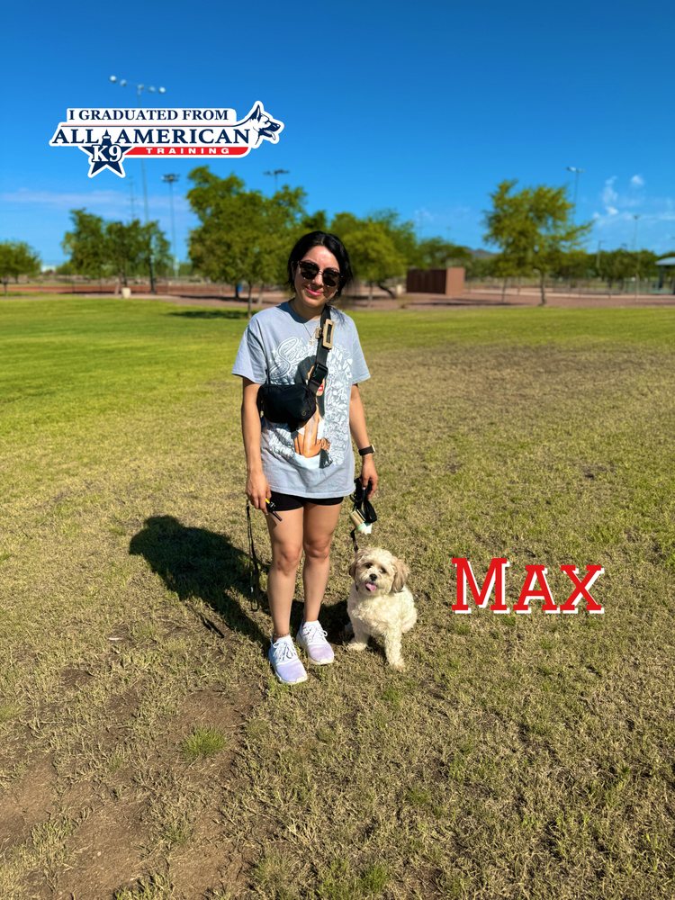 ALL-AMERICAN K-9 DOG TRAINING - Updated September 2024 - 515 Photos ...