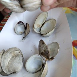 SMITTY’S CLAM BAR - TEMP. CLOSED - Updated January 2026 - 309 Photos ...