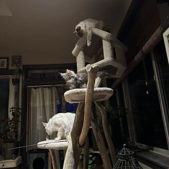 REBER RANCH - Updated November 2024 - 126 Photos & 203 Reviews - 28606 ...