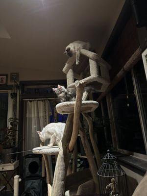 REBER RANCH - Updated October 2024 - 122 Photos & 200 Reviews - 28606 ...