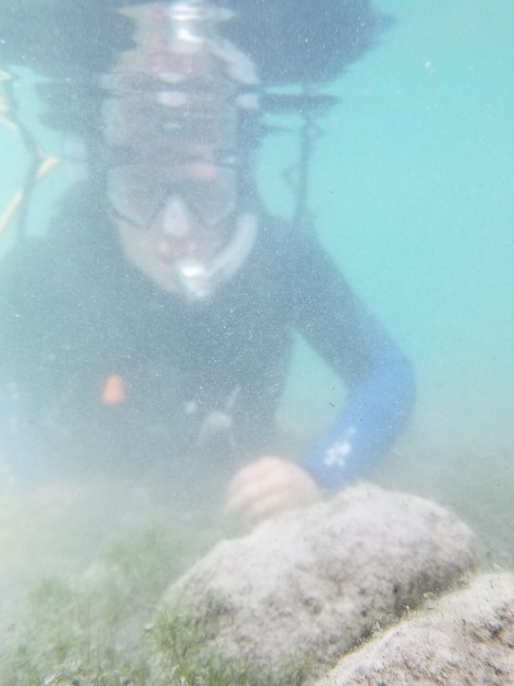 WHITE STAR QUARRY - Updated December 2024 - 895 S Main St, Gibsonburg, Ohio - Diving - Phone ...