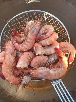 SHRIMP GUY - Updated November 2025 - 102 1st Ave NE, Ruskin, Florida ...