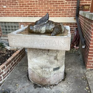 SHIT FOUNTAIN - 62 Photos & 60 Reviews - 1001 N Wolcott Ave, Chicago ...