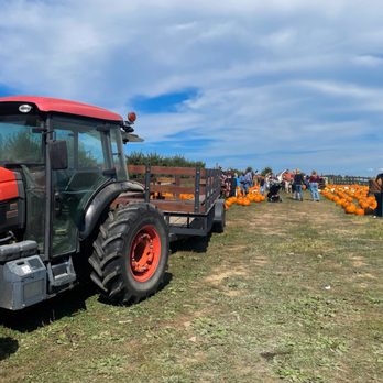 APPLE RIDGE ORCHARDS - Updated December 2025 - 243 Photos & 110 Reviews ...