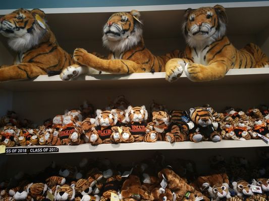 PRINCETON UNIVERSITY STORE - Updated December 2025 - 26 Photos & 14 ...