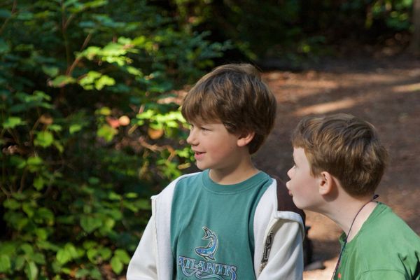 YMCA CAMP SEYMOUR - Updated October 2025 - 233 Photos - 9725 Cramer Rd ...