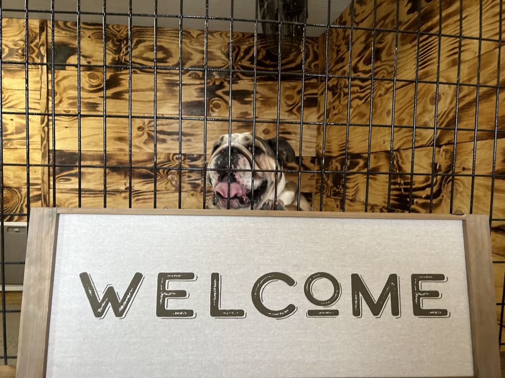 ET MUTT HUTT - Request Information - 2311 NW 282nd St, Newberry ...