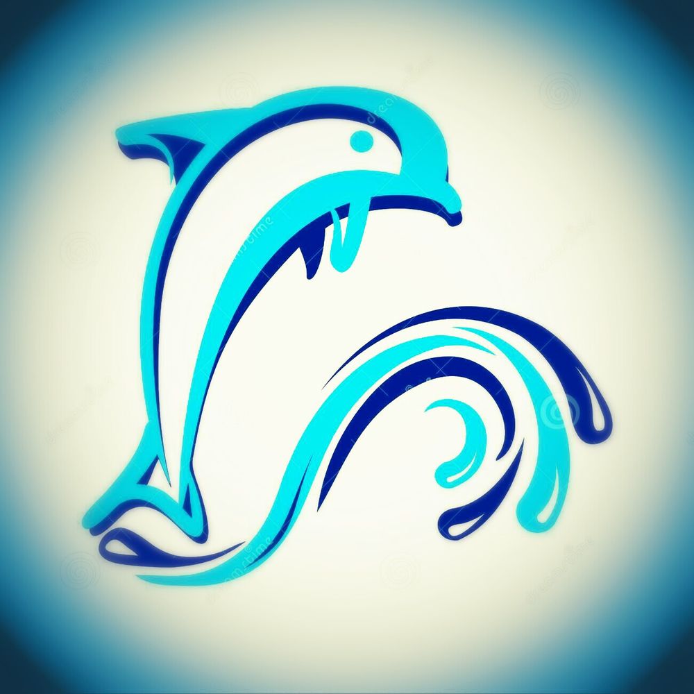 NOAH POOL AND SPA - Updated July 2025 - East Moline, Illinois - Pool ...