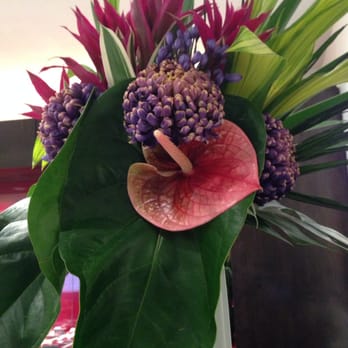 ADELAIDE CLUB - Updated January 2026 - 10 Photos & 16 Reviews - 1 First ...