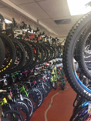 B & P CYCLE AND SPORTS - Updated January 2026 - 1717 52 Street SE ...