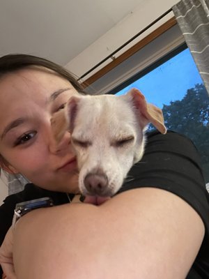 NEWTON VETERINARY HOSPITAL - Updated October 2025 - 15 Photos & 128 ...