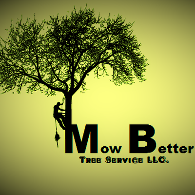 MOW BETTER TREE SERVICE - Updated October 2025 - 13 Photos - Titusville ...