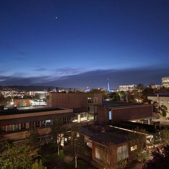 NOBLE ROT - Updated October 2024 - 752 Photos & 729 Reviews - 1111 E ...