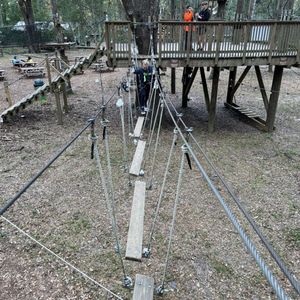 TREEHOPPERS AERIAL ADVENTURE PARK - 183 Photos & 68 Reviews - 27839 ...