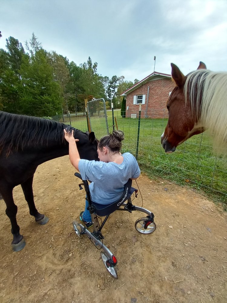 STANFORD STABLES AND FARM - Updated July 2025 - Tallapoosa, Georgia ...