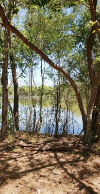 MILAM WESLEY TEALER PARK - Updated November 2025 - 10 Photos - 5715 ...