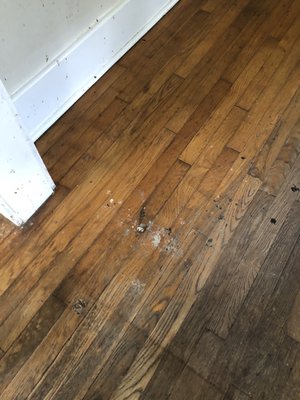 MOREHANDS MAID SERVICE - Updated July 2024 - 47 Photos & 199 Reviews ...