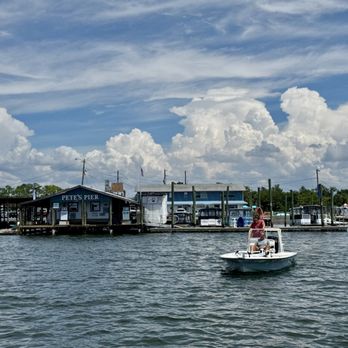 FUN 2 DIVE MANATEE TOURS - Updated January 2026 - 413 Photos & 236 ...