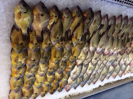 MR SEA’S FRESH FISH & SEAFOOD - Updated December 2025 - 11 Reviews ...