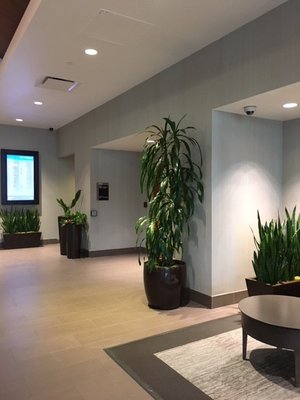 BAYLOR DIAGNOSTIC IMAGING CENTER AT JUNIUS - Updated January 2026 - 12 ...