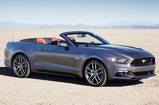 KELLY FORD - Updated May 2026 - 36 Photos & 96 Reviews - 776 Magnolia ...