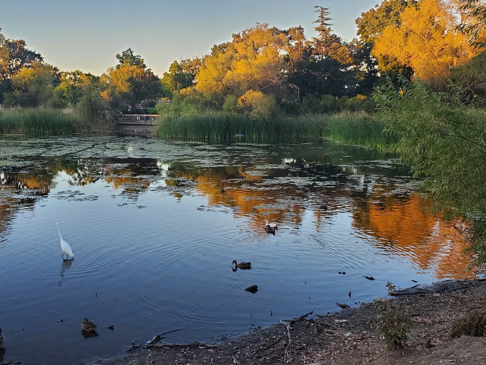 HEATHER FARM PARK - Updated January 2026 - 777 Photos & 340 Reviews ...