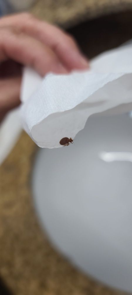 DAYS INN BY WYNDHAM TORRINGTON - Updated June 2025 - 23 Photos & 18 ...