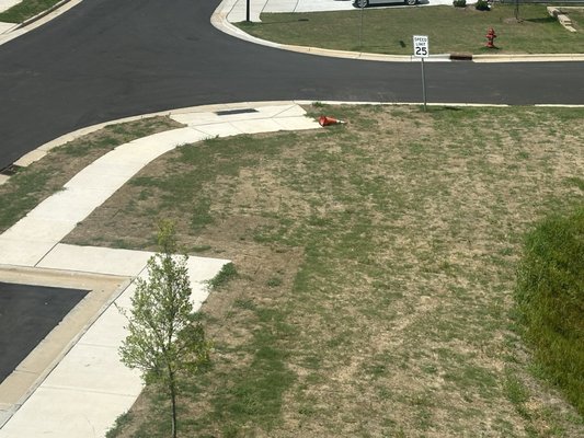 BLAND LANDSCAPING - Updated October 2025 - 13 Photos & 12 Reviews ...