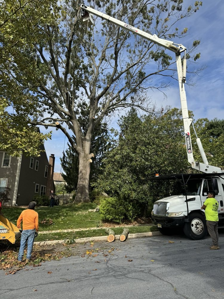 DEPENDABLE LAND MAINTENANCE - Updated December 2025 - 47 Photos - West ...