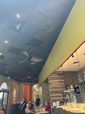 BRUNCH 101 - Updated September 2024 - 187 Photos & 213 Reviews - 68718 ...