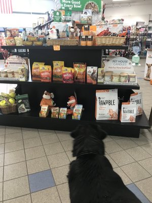 RUMFORD PET EXPRESS - Updated August 2024 - 25 Photos & 43 Reviews ...