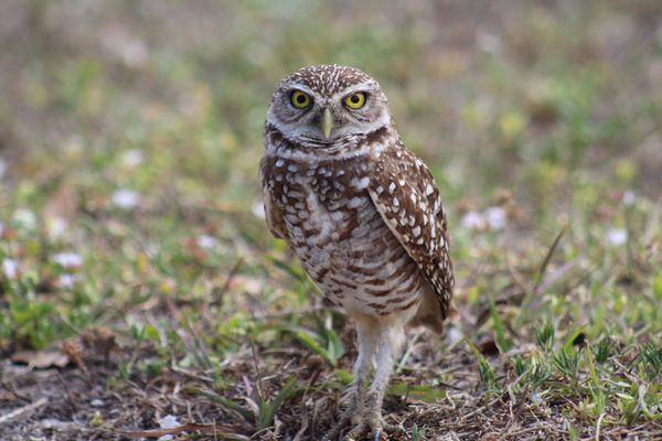 BRIAN PICCOLO SPORTS PARK & VELODROME - 126 Photos & 35 Reviews - 9501 ...