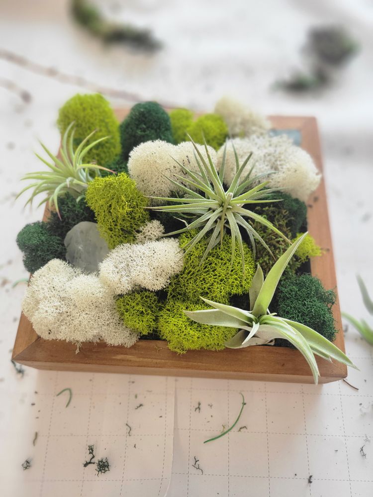 FUN WITH PLANTS - Updated August 2025 - 44 Photos - San Francisco ...