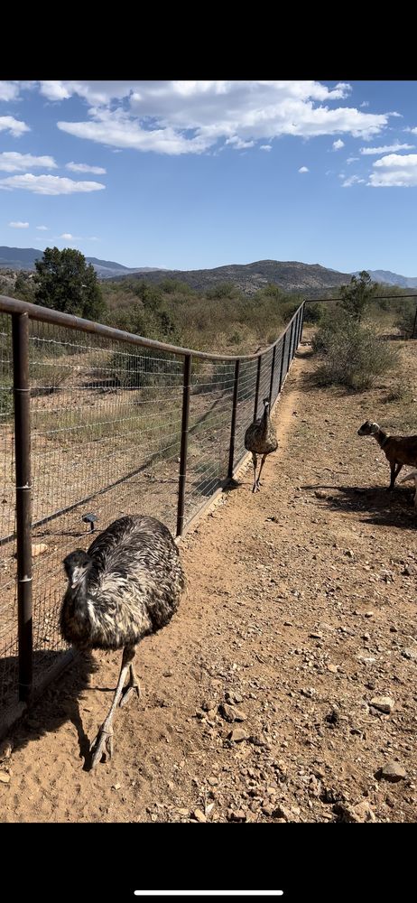 AZ LEGACY FENCE AND GATE - Updated May 2026 - 12 Photos - 296 S ...