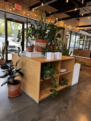 NATIVE COFFEE - Updated December 2025 - 322 Photos & 247 Reviews - 4319 ...