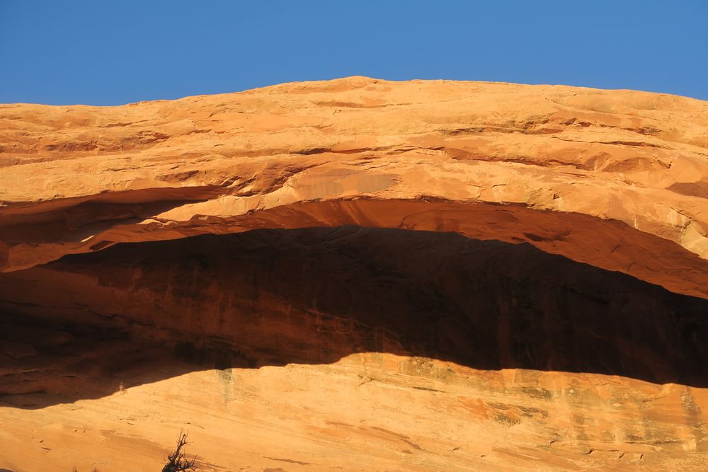 LONGBOW ARCH - Updated January 2025 - 12 Photos - 82 E Dogwood, Moab ...