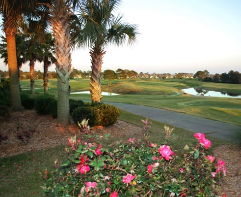 TIGER POINT GOLF CLUB - Updated July 2025 - 12 Photos & 39 Reviews ...